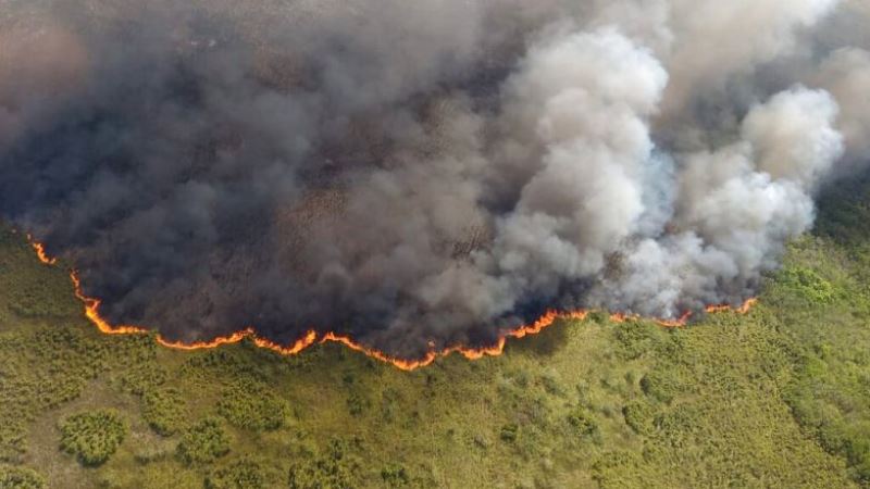 Registran 198 Incendios En Tiempo De Quema En Yucatán Total Sapiens