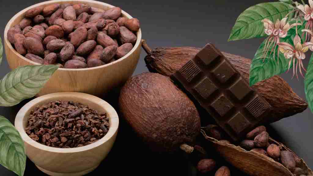 Invitan a productores tabasqueños al Primer Concurso Nacional de ...