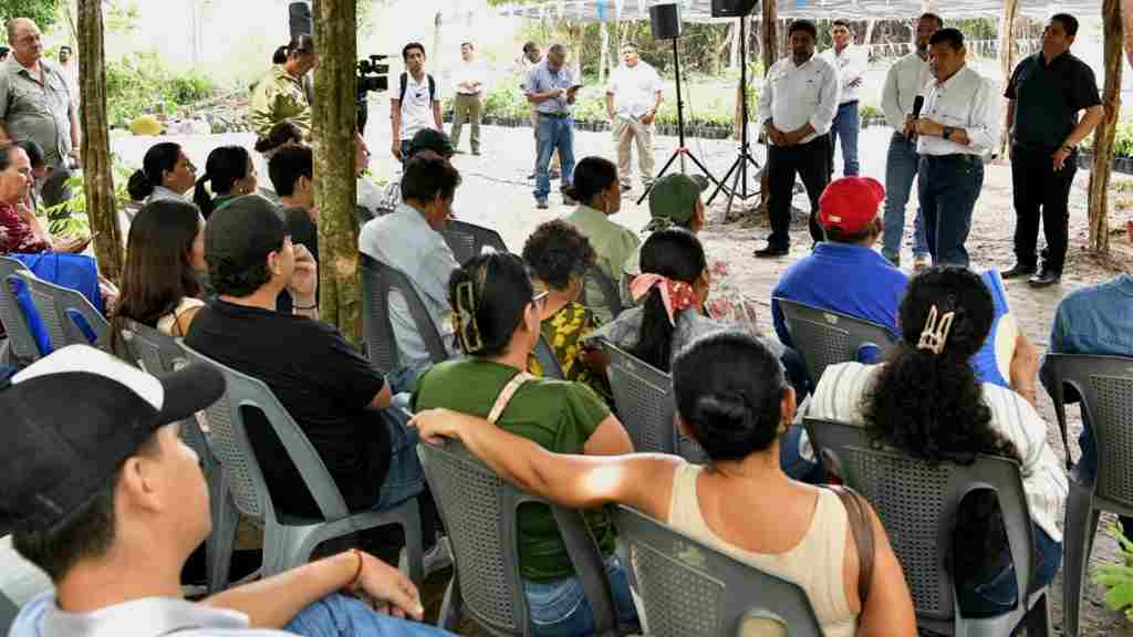 Sembrando Vida fortalece campo tabasqueño y economía familiar | Total ...